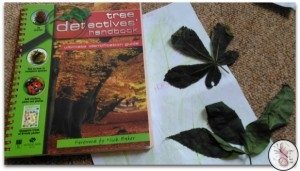 Tree Detectives' Handbook For Tree Identification - Diary of a First Child