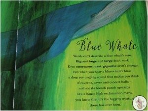 A First Book of Animals {Review} - Diary of a First Child