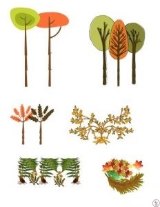 Printable Layers of The Forest Worksheet - Diary of a First Child